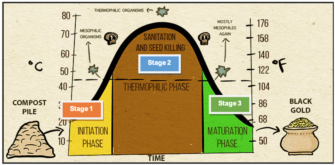 A Breakdown of the Breakdown: What’s happening in your compost? – SCIENTIA